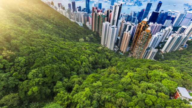 Green bonds to spur Hong Kong sustainability agenda - Fund Selector Asia