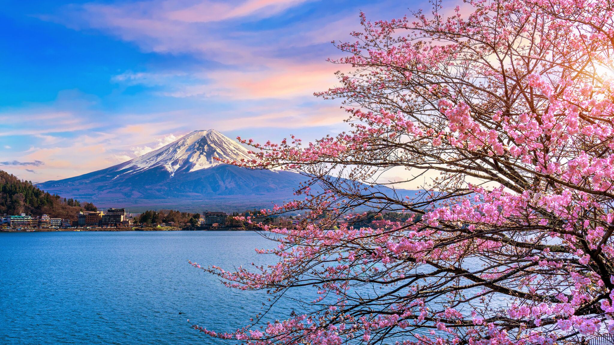 The top 10 Japanese equity funds of 2025 - Fund Selector Asia